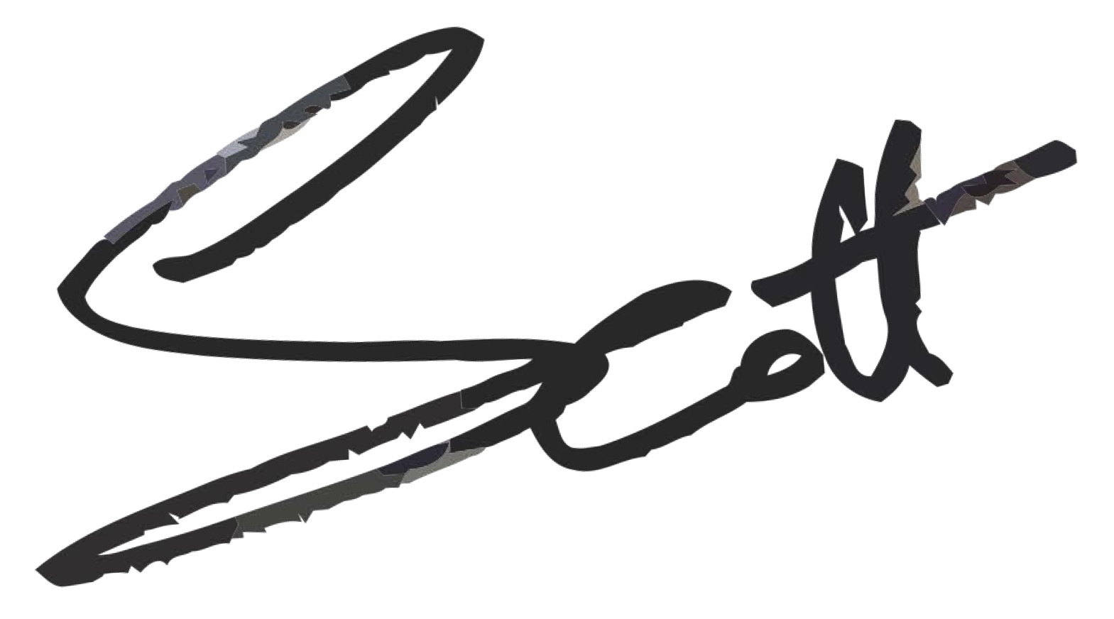 Modern Slavery Policy - Case Studies